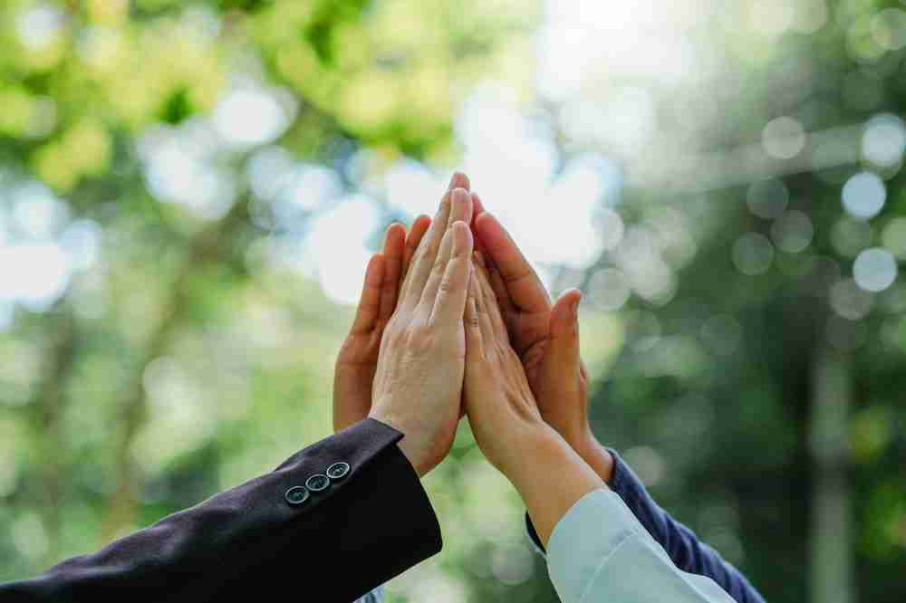 12 Ways to Help the Environment