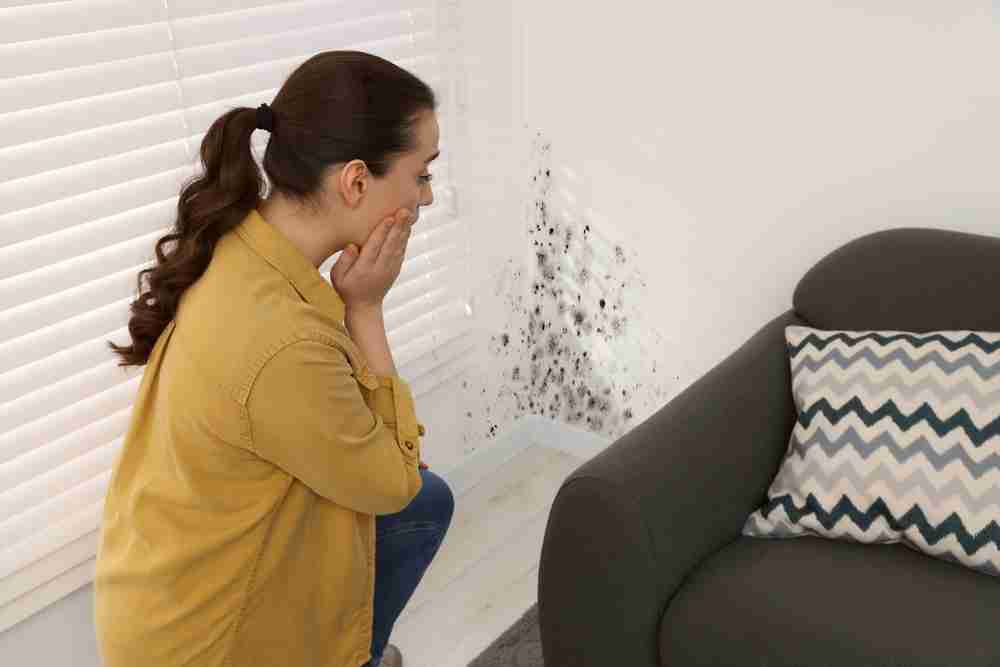 Identifying the Signs of Mold Exposure